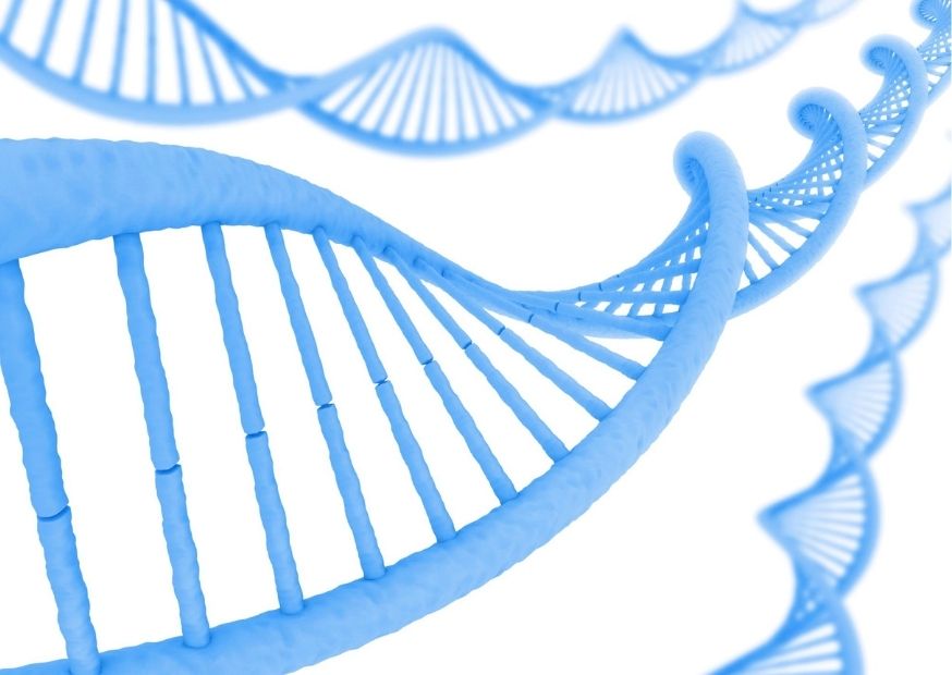 Genetyka w medycynie - gdzie znajdują zastosowanie testy genetyczne?